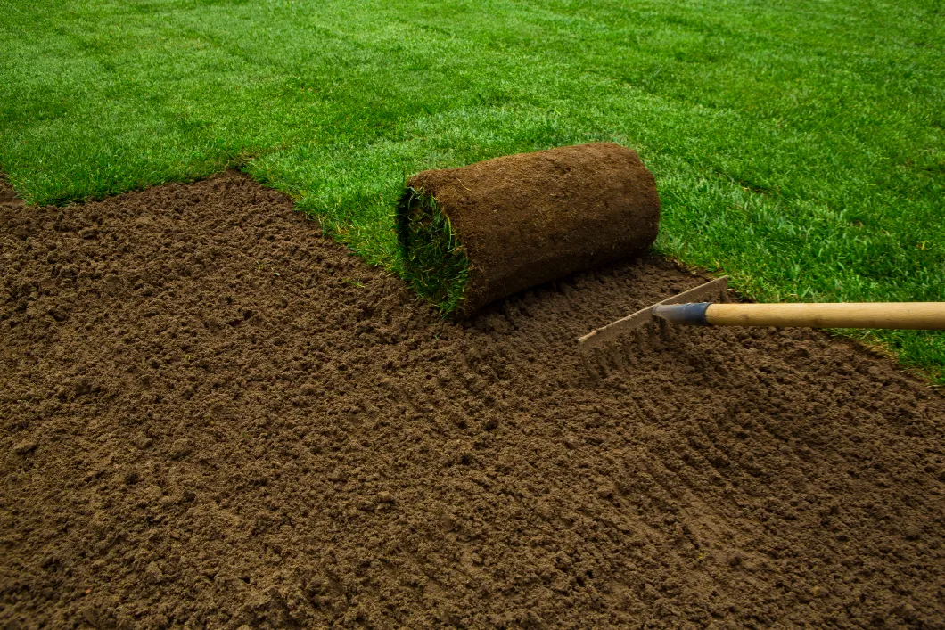 9 Essential Steps for Turf Renovation in Kansas City